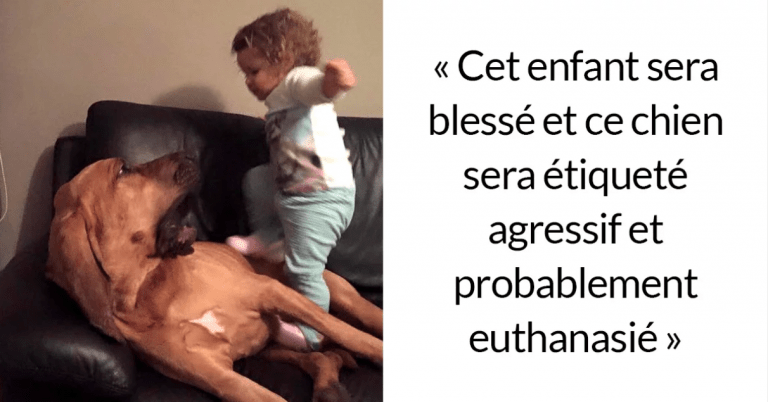 Des gens qui en ont assez des autres qui permettent aux enfants de ...