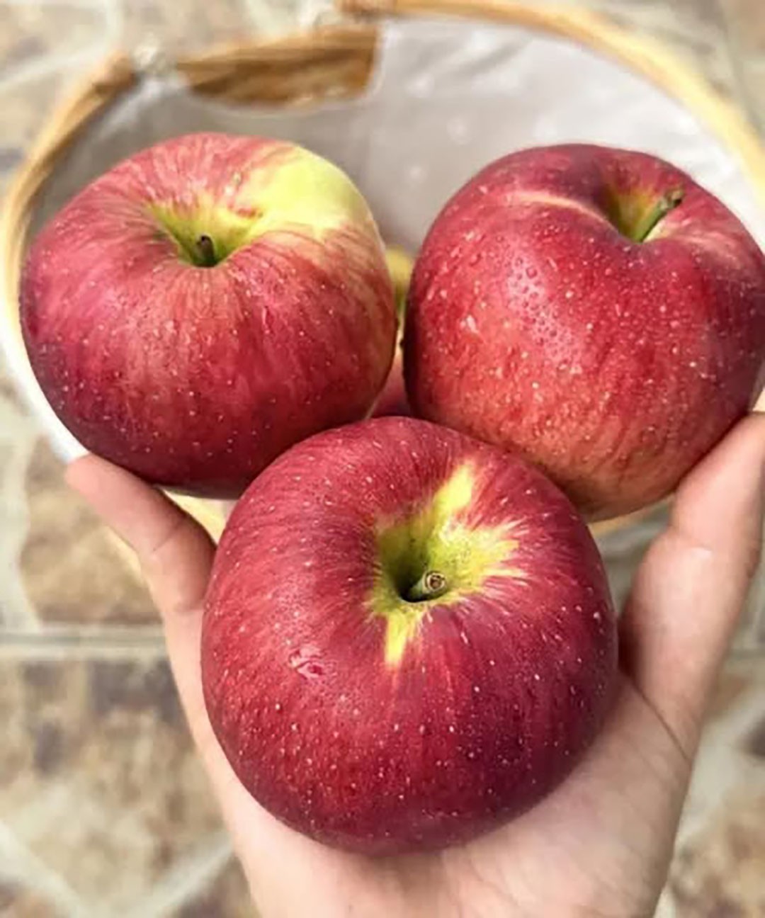 Les bienfaits des pommes : un fruit simple aux vertus exceptionnelles ...